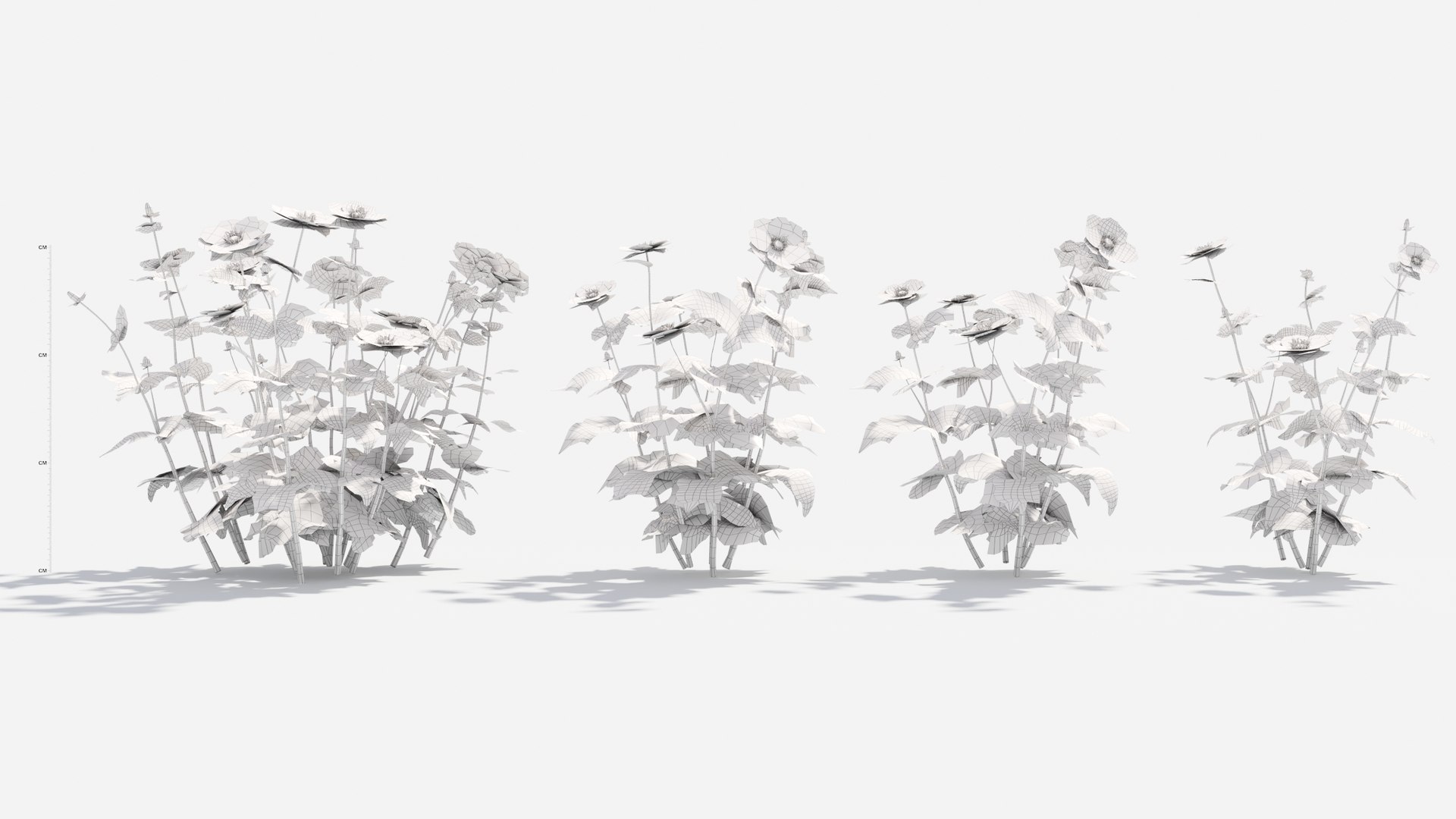 Anemone Flower Model - TurboSquid 1948585