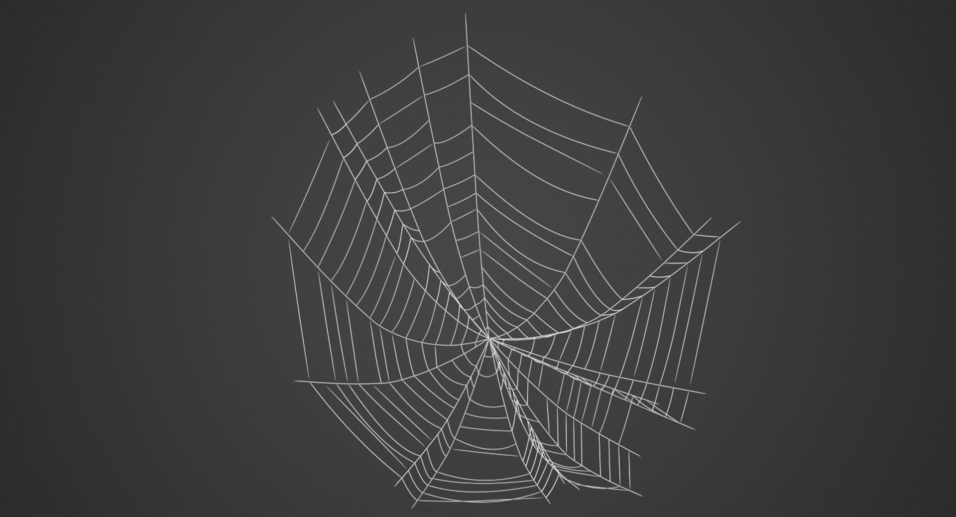 3d Spider Web