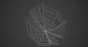 Low Poly Spider Web 3D Models For Download | TurboSquid