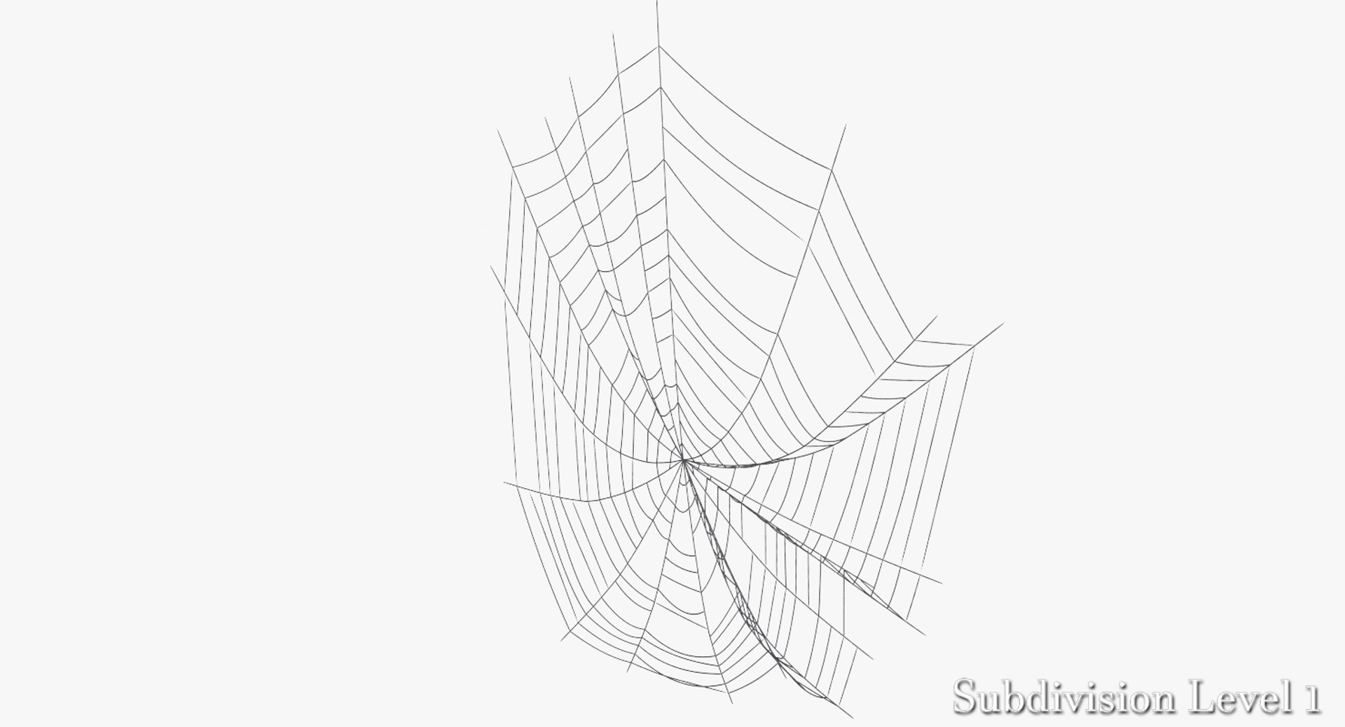 3d Spider Web