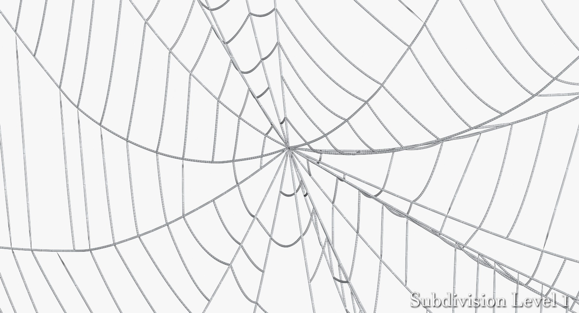 3d Spider Web