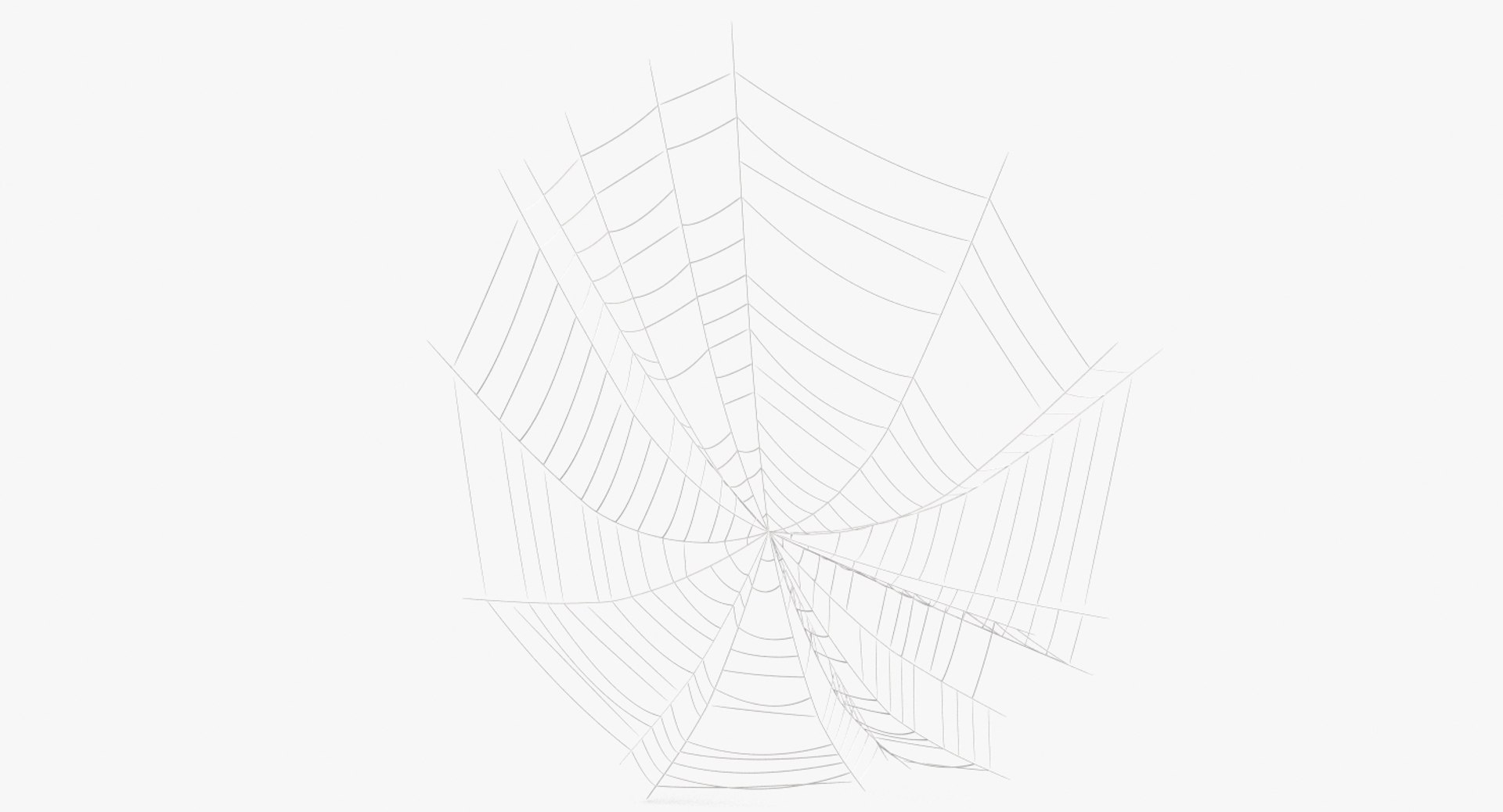 3d Spider Web