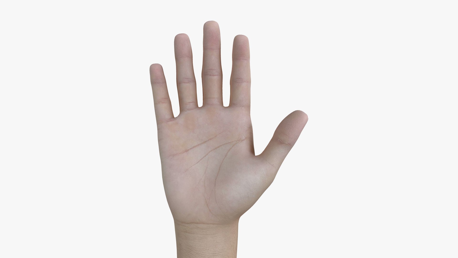 SHR-004 Rigged Right Hand 3D Model - TurboSquid 1982242