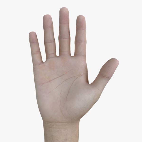 HND-020 Rigged Hand 3D - TurboSquid 2107519