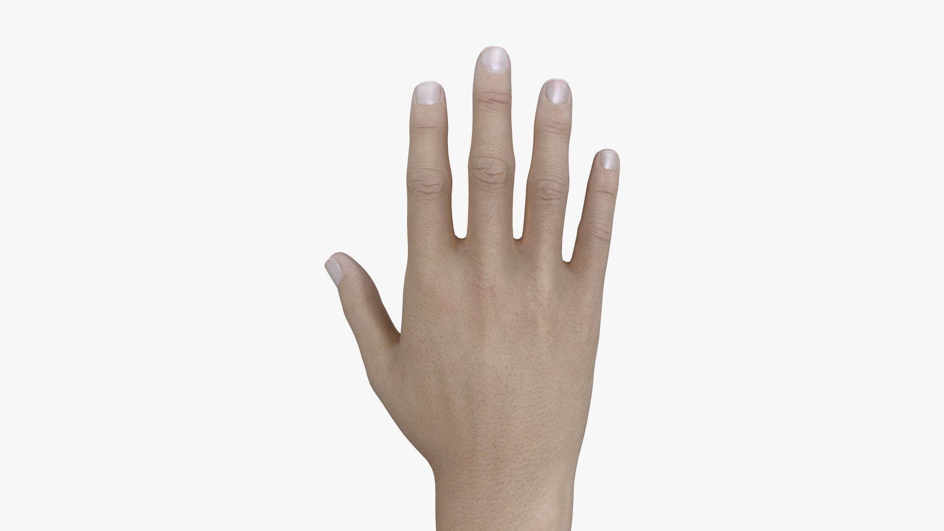 SHR-004 Rigged Right Hand 3D Model - TurboSquid 1982242