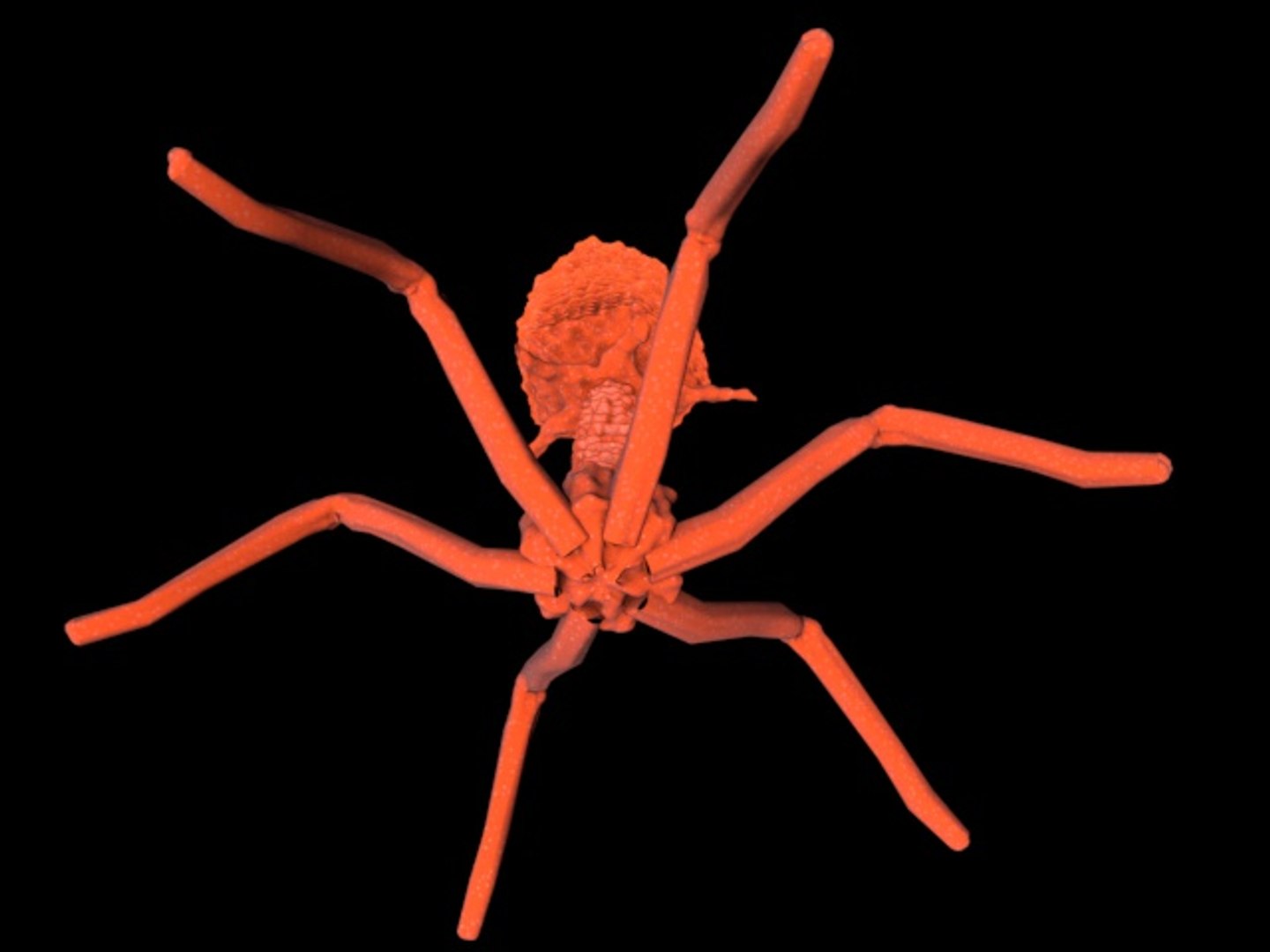 3d Phage Bacteriophage Virus
