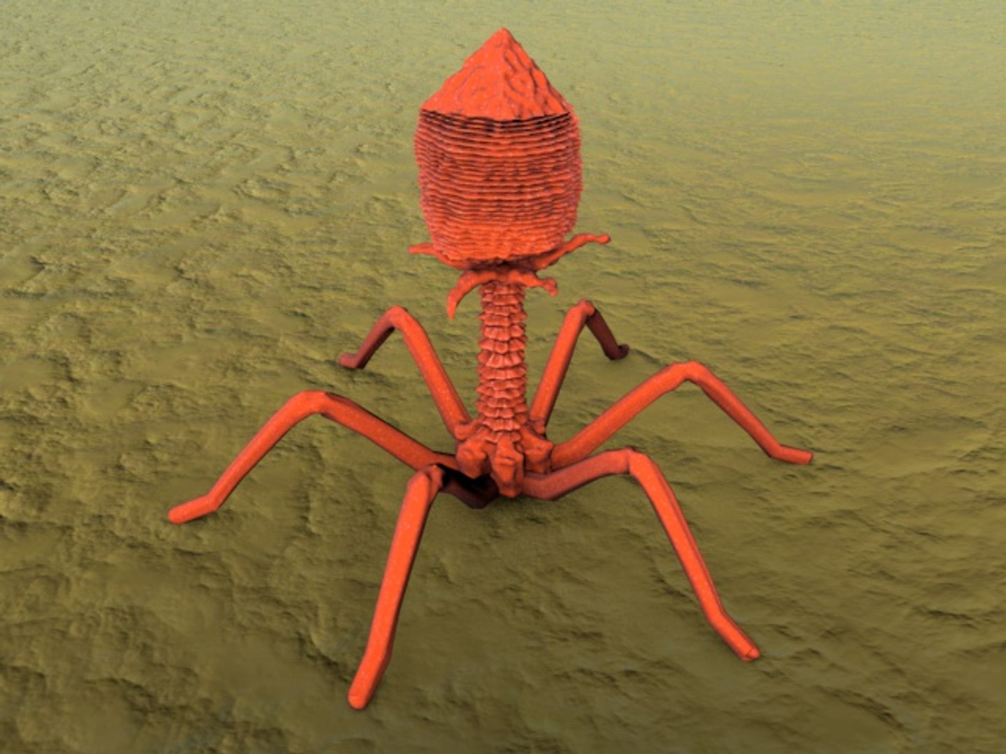 3d Phage Bacteriophage Virus