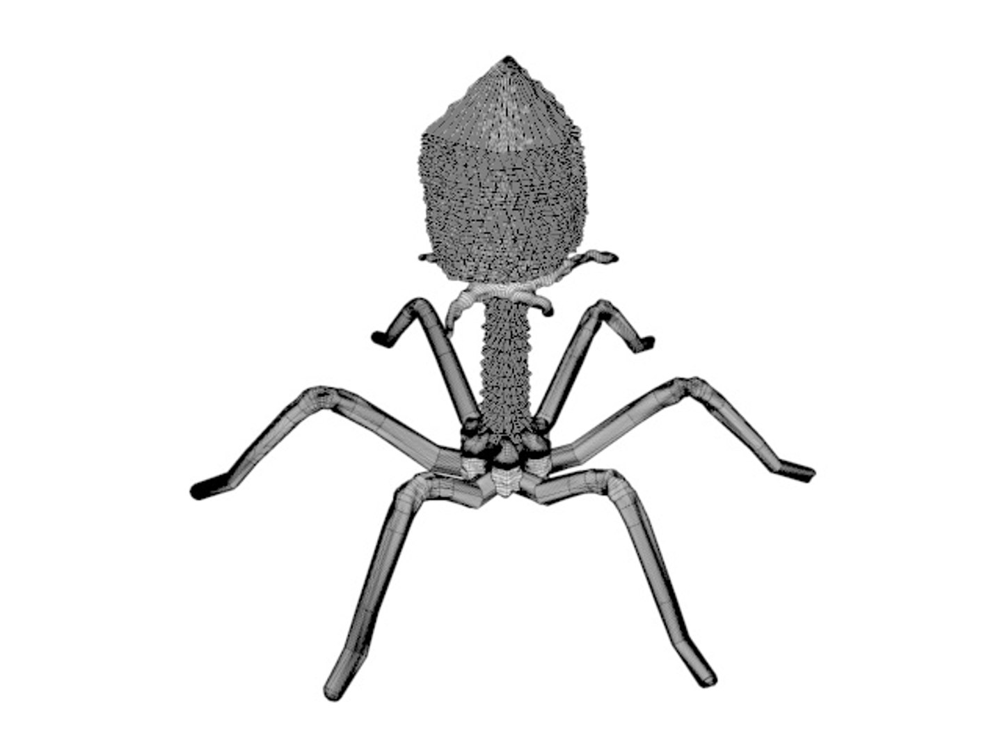 3d Phage Bacteriophage Virus