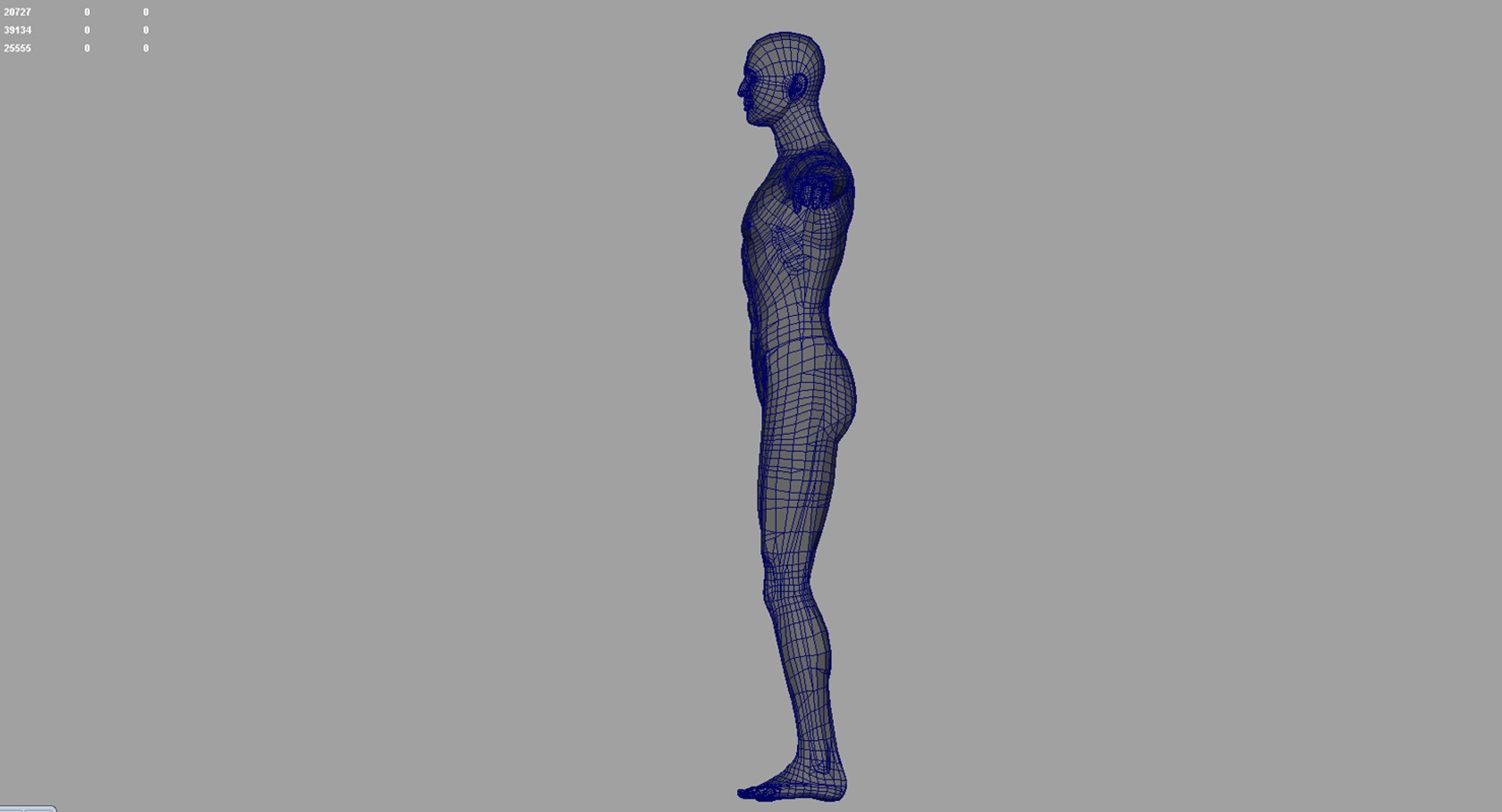 3D Human Body Model - TurboSquid 1515632
