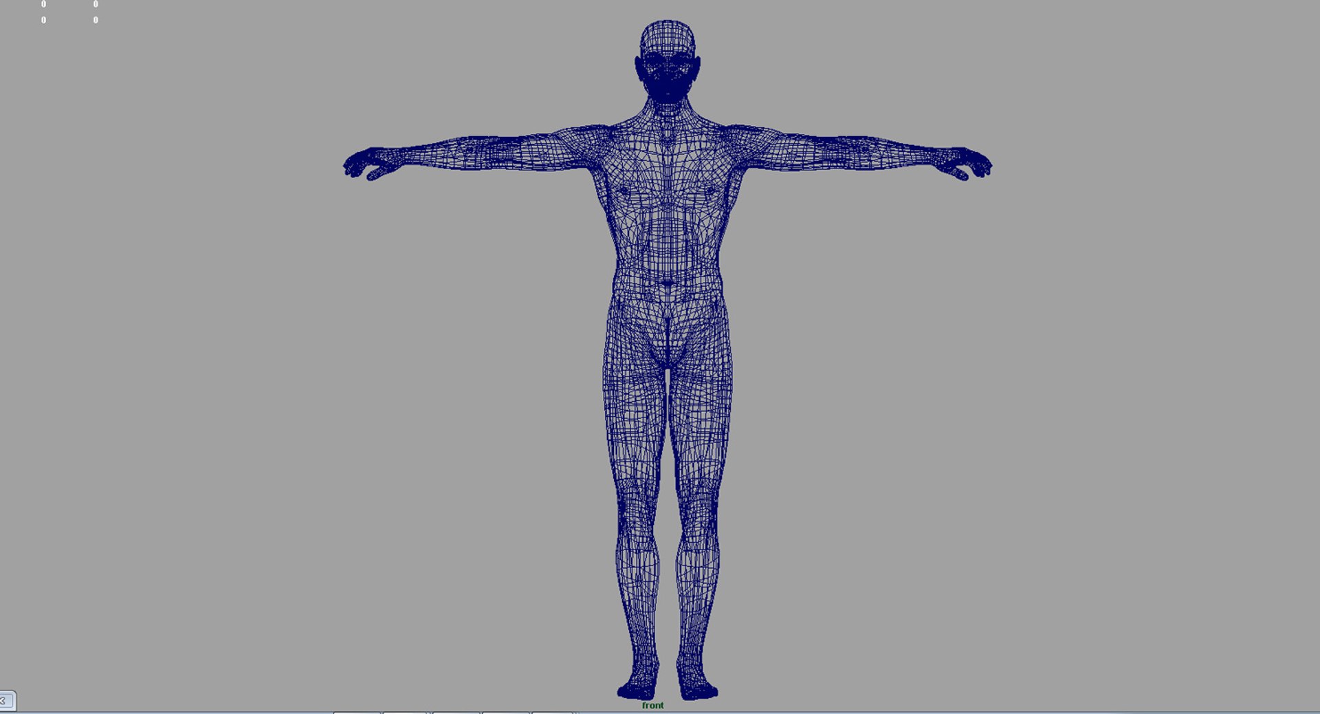 3D Human Body Model - TurboSquid 1515632