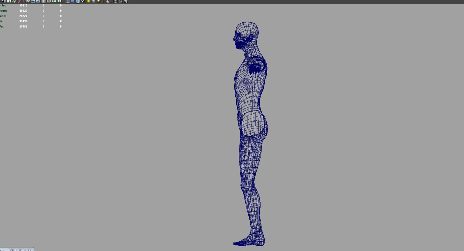 3D Human Body Model - TurboSquid 1515632