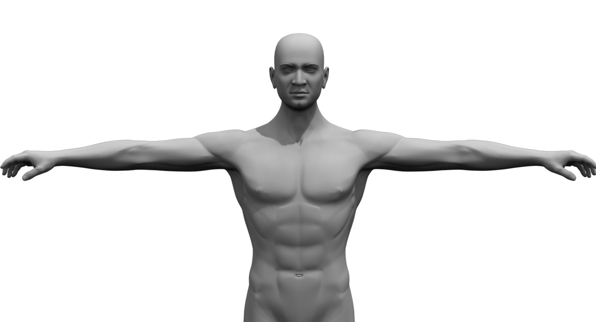 Human Body 3D Model Generator at Emma Wilhelm blog
