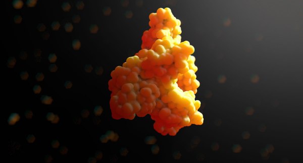human antibodies 3d model