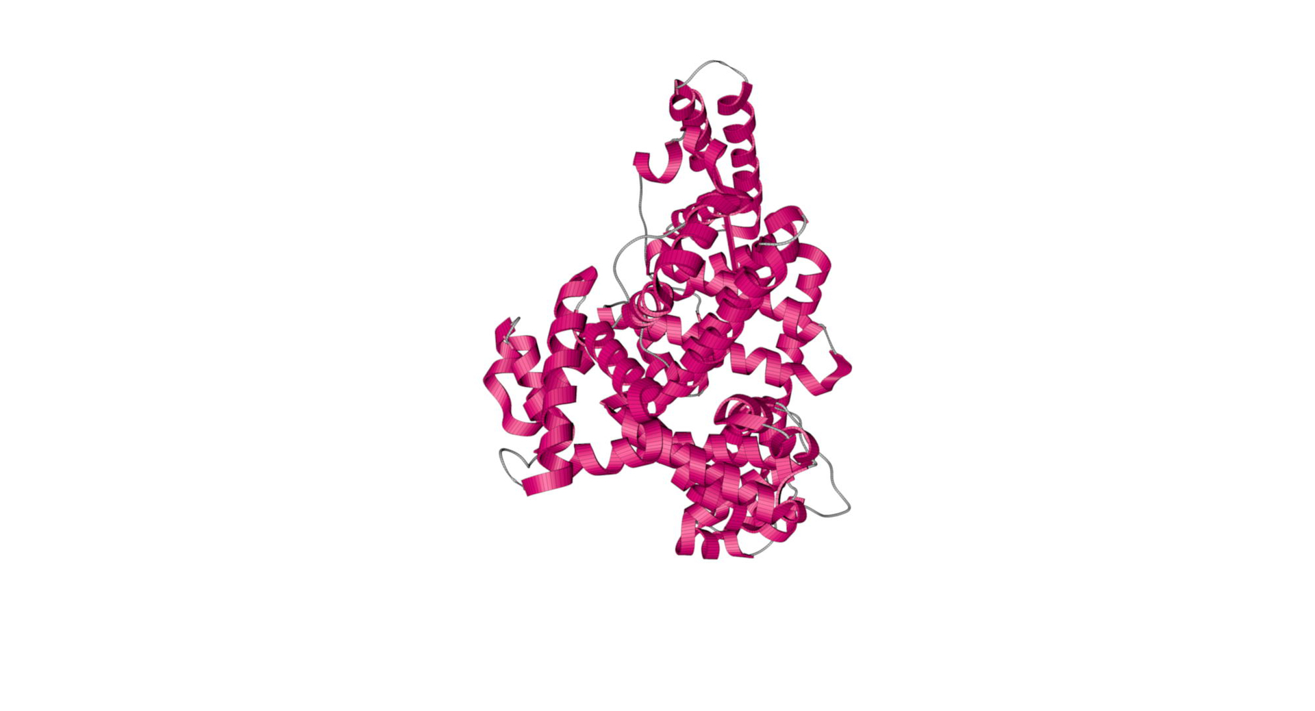 3d Human Albumin Protein