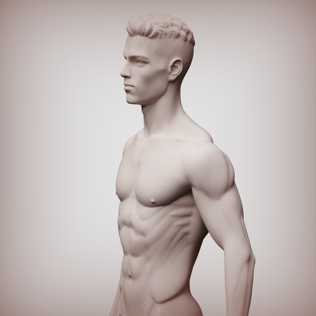 Normal Man Sculpture 3D - TurboSquid 2324870