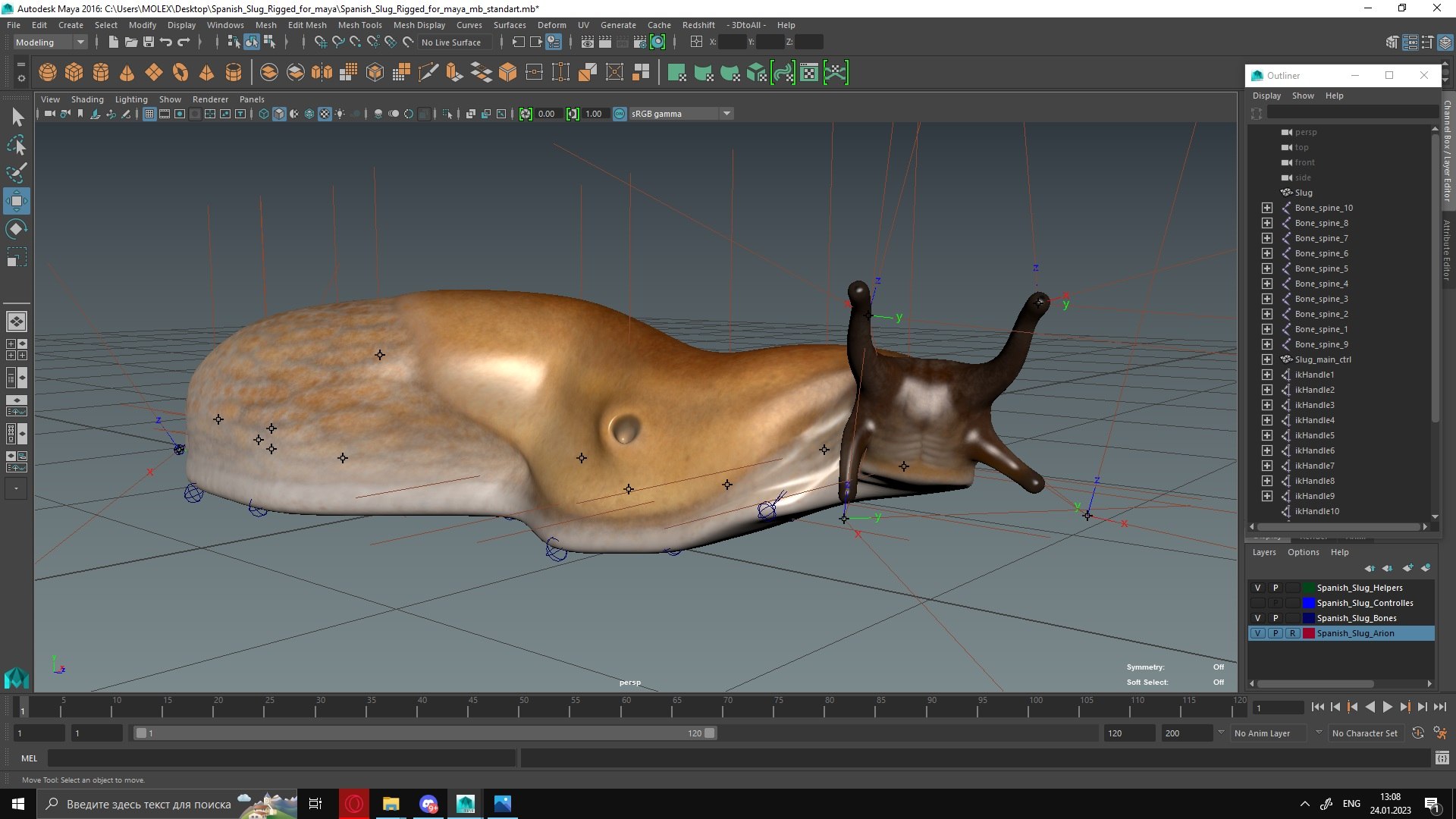 Spanish Slug Rigged for Maya 3D - TurboSquid 2018633
