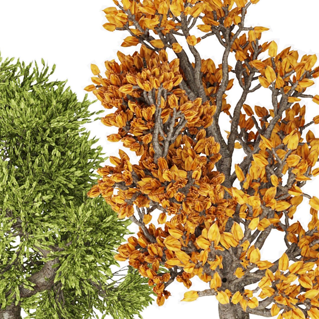 Free Collection Small Tree 1 3dmodel Free Model - TurboSquid 1882998