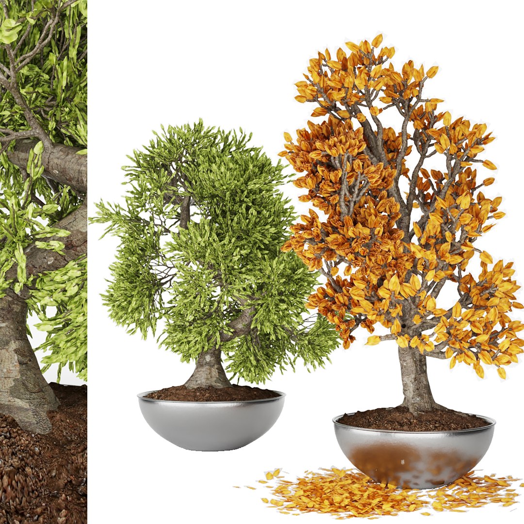 Free Collection Small Tree 1 3dmodel Free Model - TurboSquid 1882998