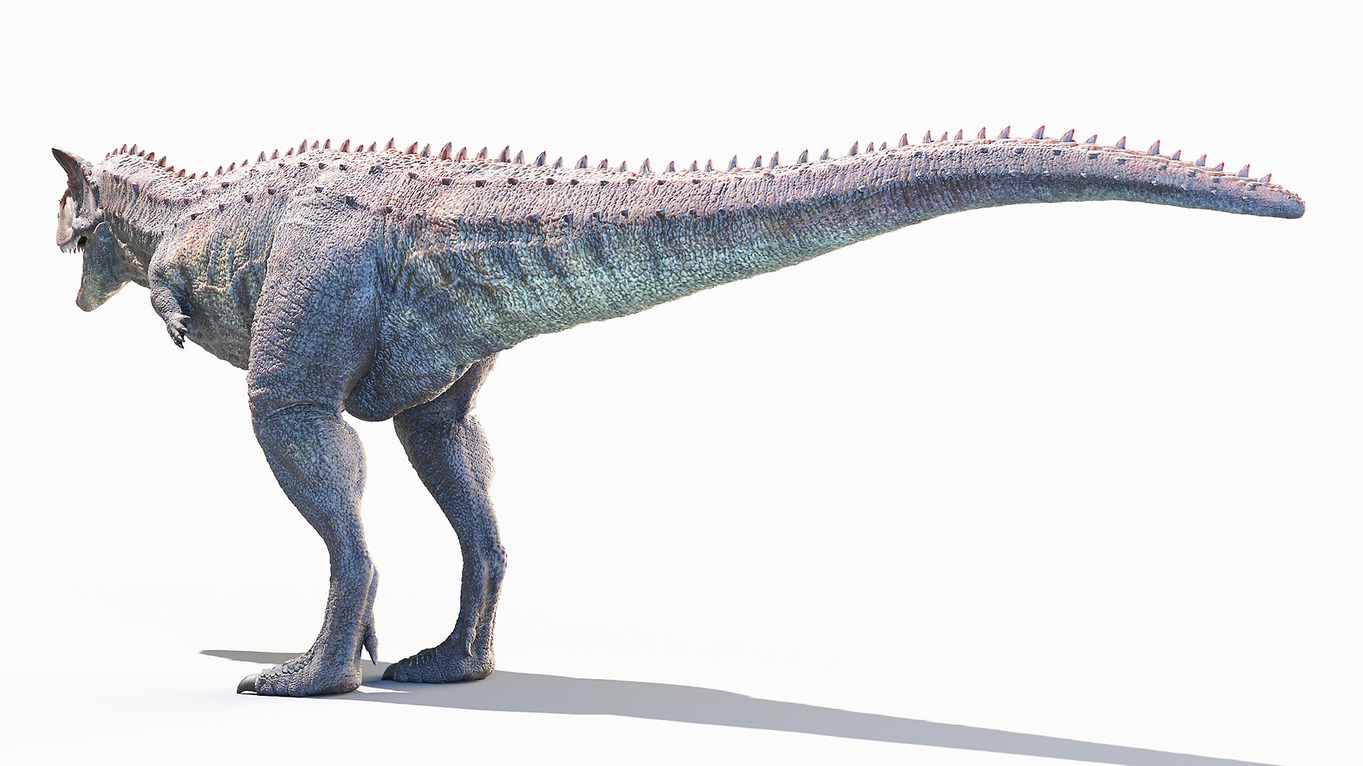 Carnotaurus 3D Model - TurboSquid 1667591