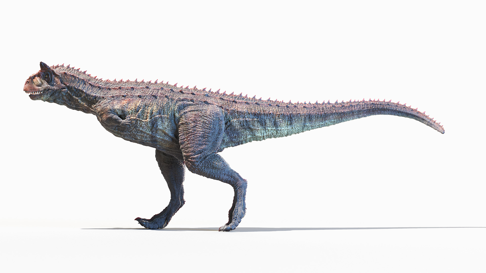 Carnotaurus 3D Model - TurboSquid 1667591