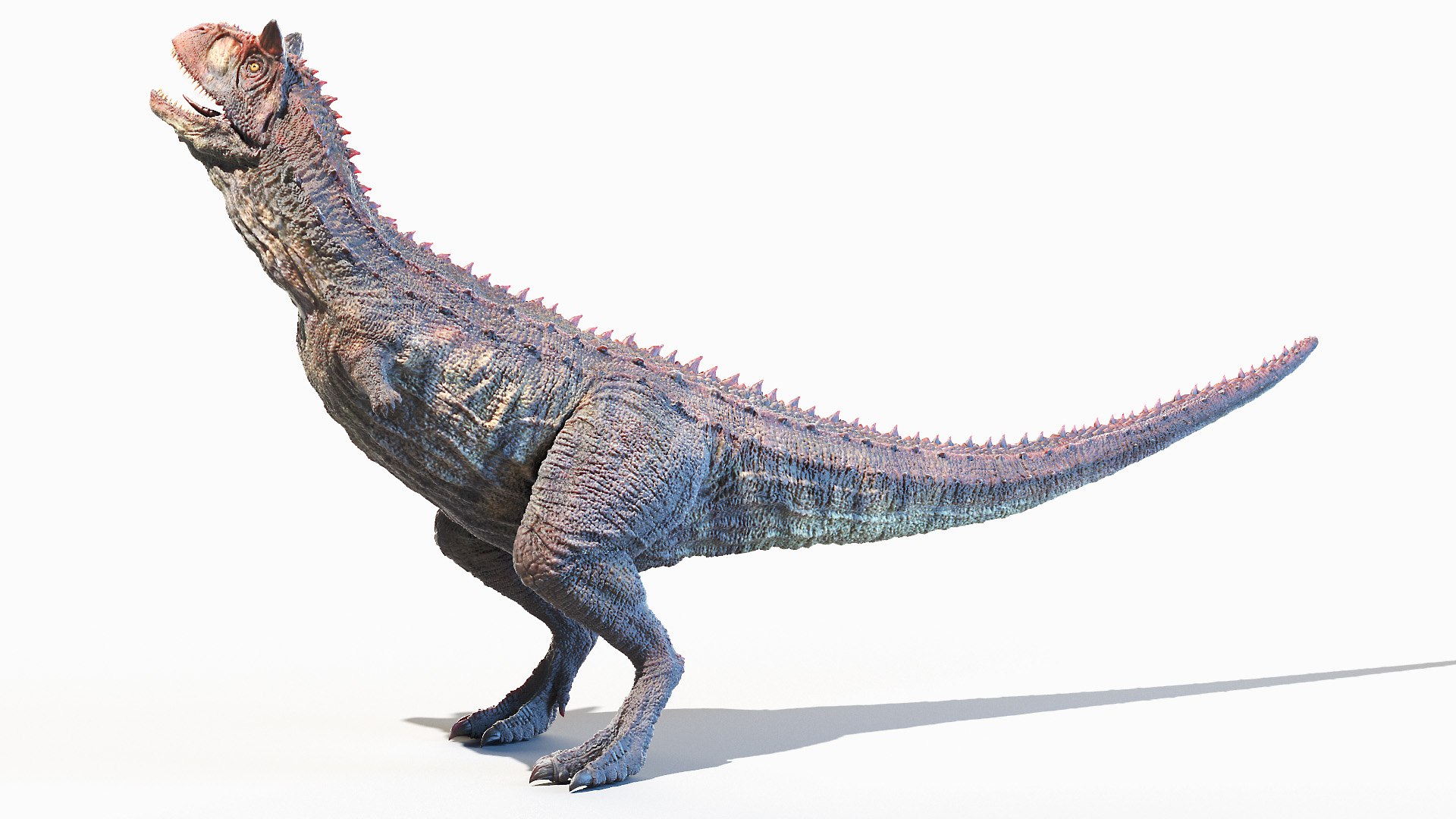 Carnotaurus 3D model - TurboSquid 1667591