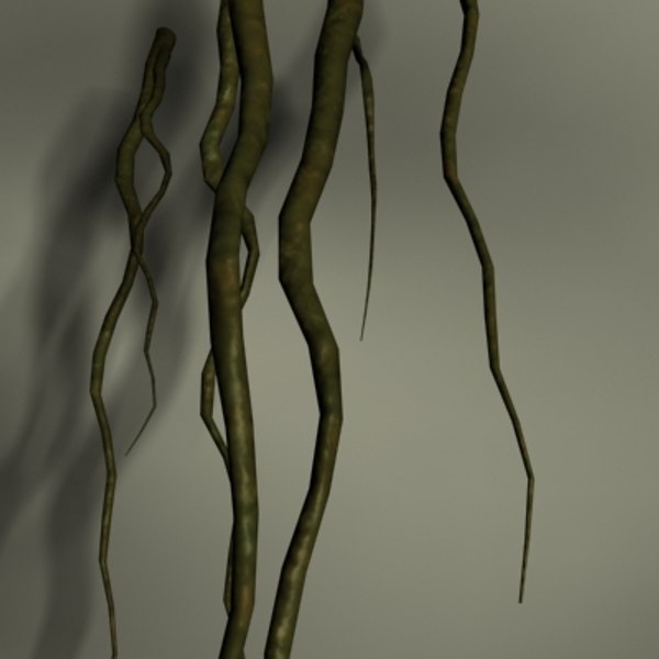 Root 3D Models for Download | TurboSquid