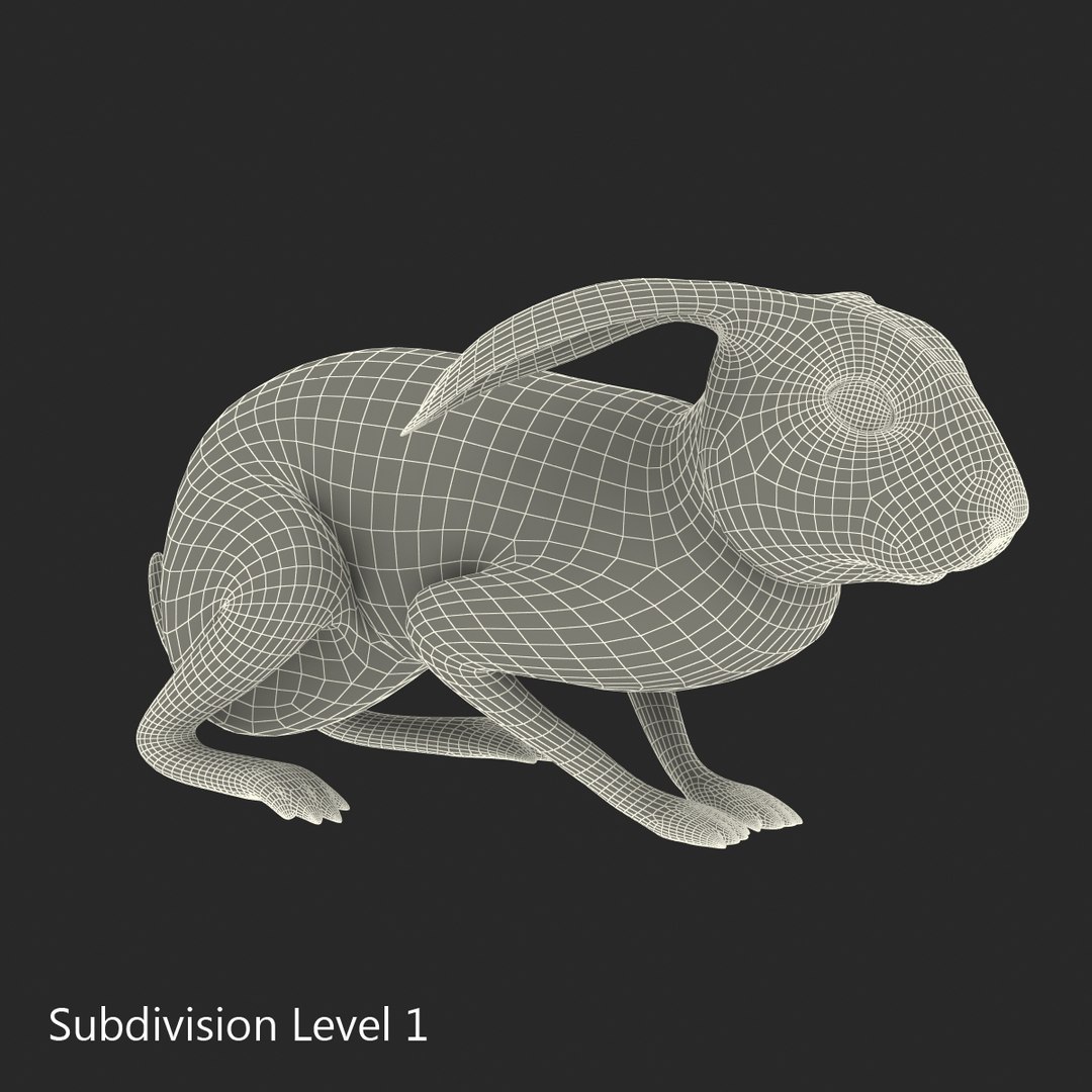 White Rabbit Pose 2 Max