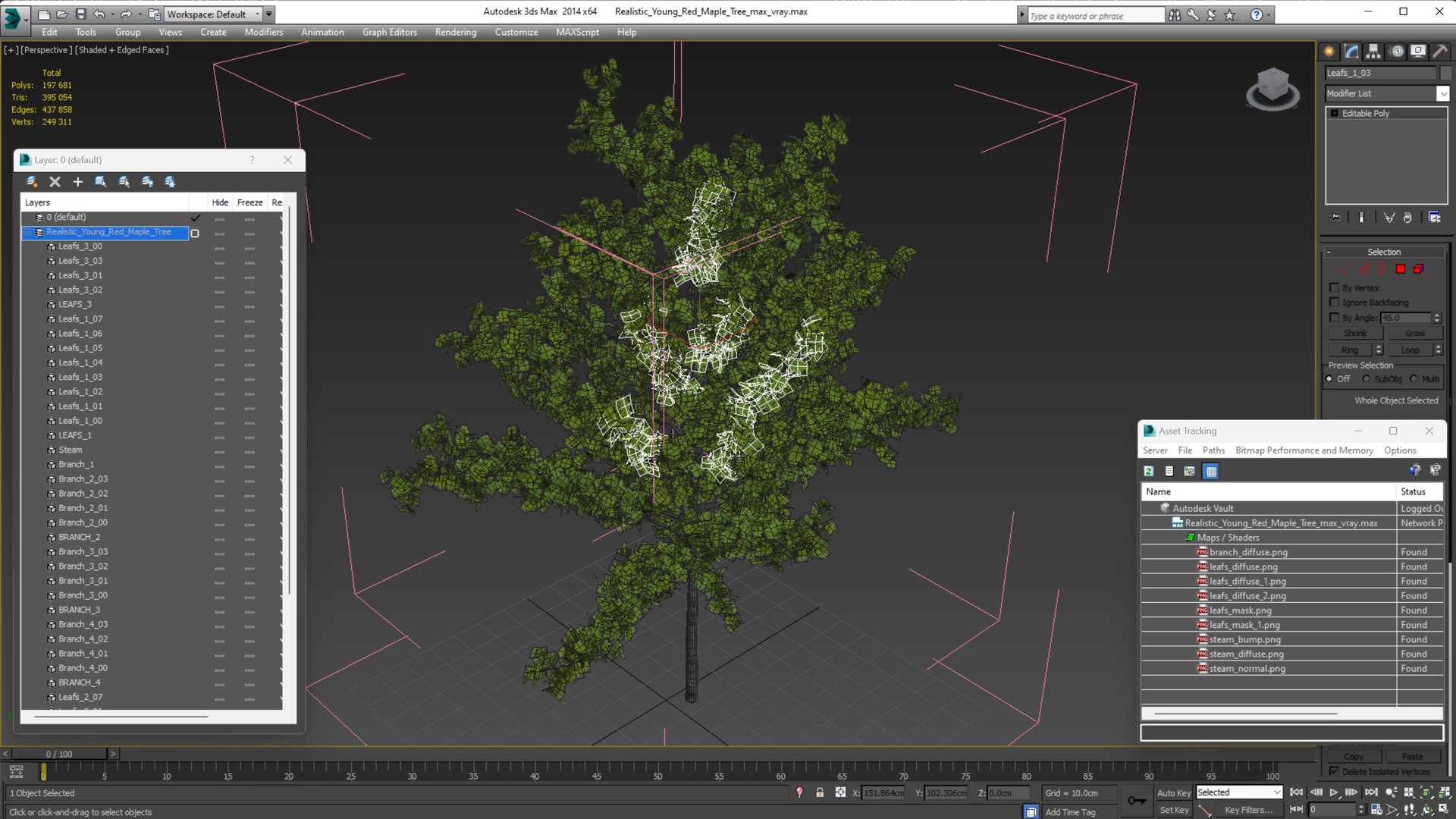 Realistic Young Red Maple Tree Model - TurboSquid 2201967