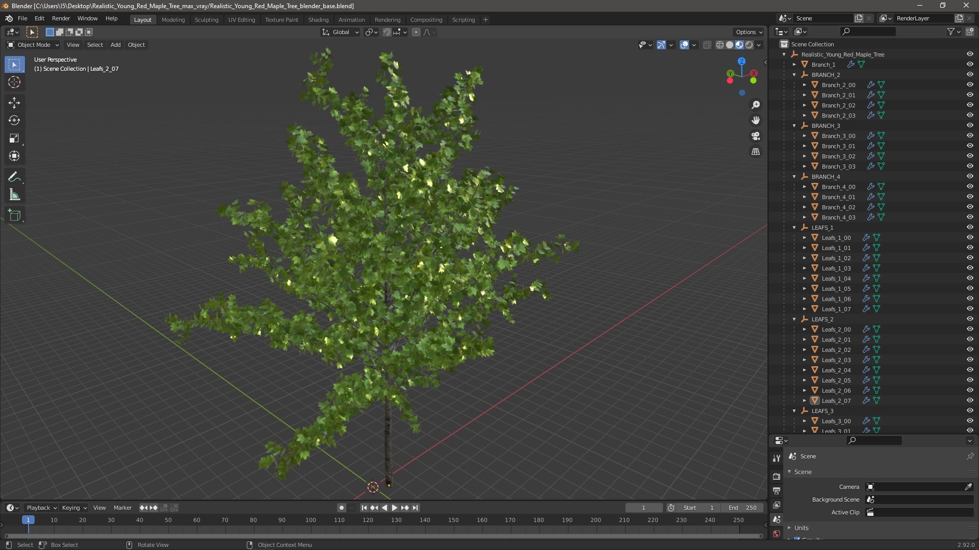 Realistic Young Red Maple Tree Model - TurboSquid 2201967