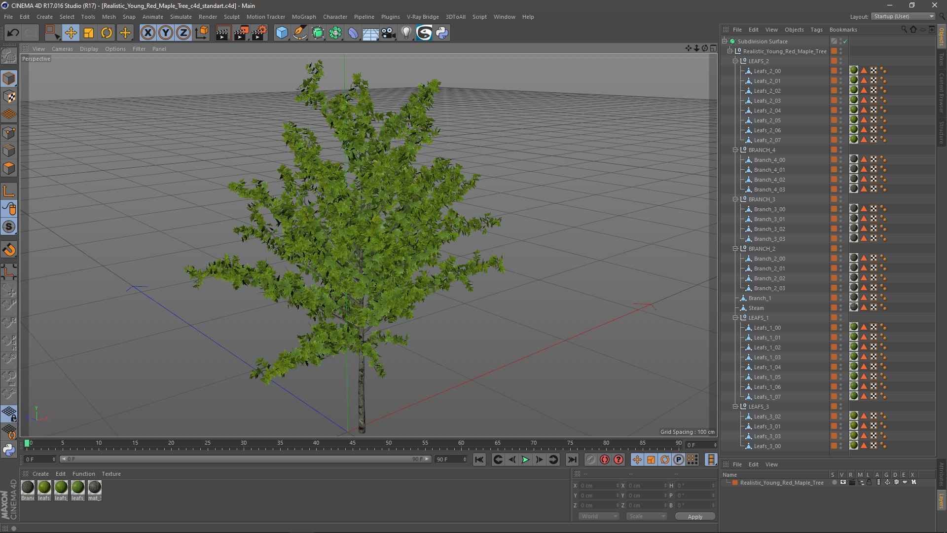 Realistic Young Red Maple Tree Model - TurboSquid 2201967