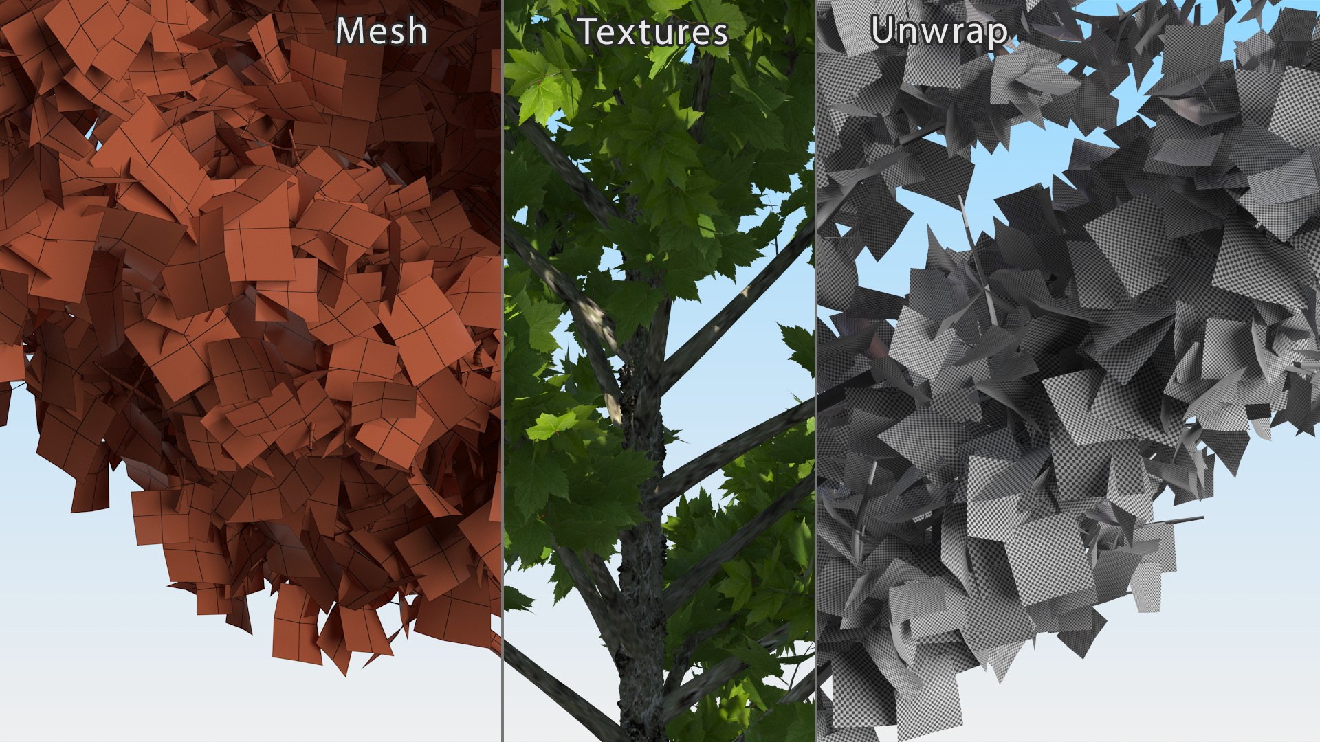 Realistic Young Red Maple Tree Model - TurboSquid 2201967