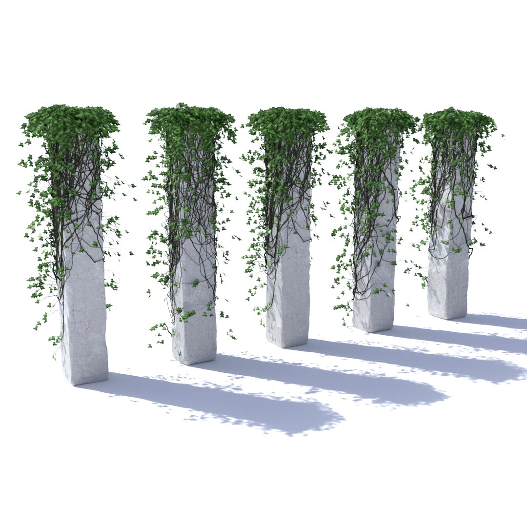 Ivy On A Column V3 3D Model - TurboSquid 1786238