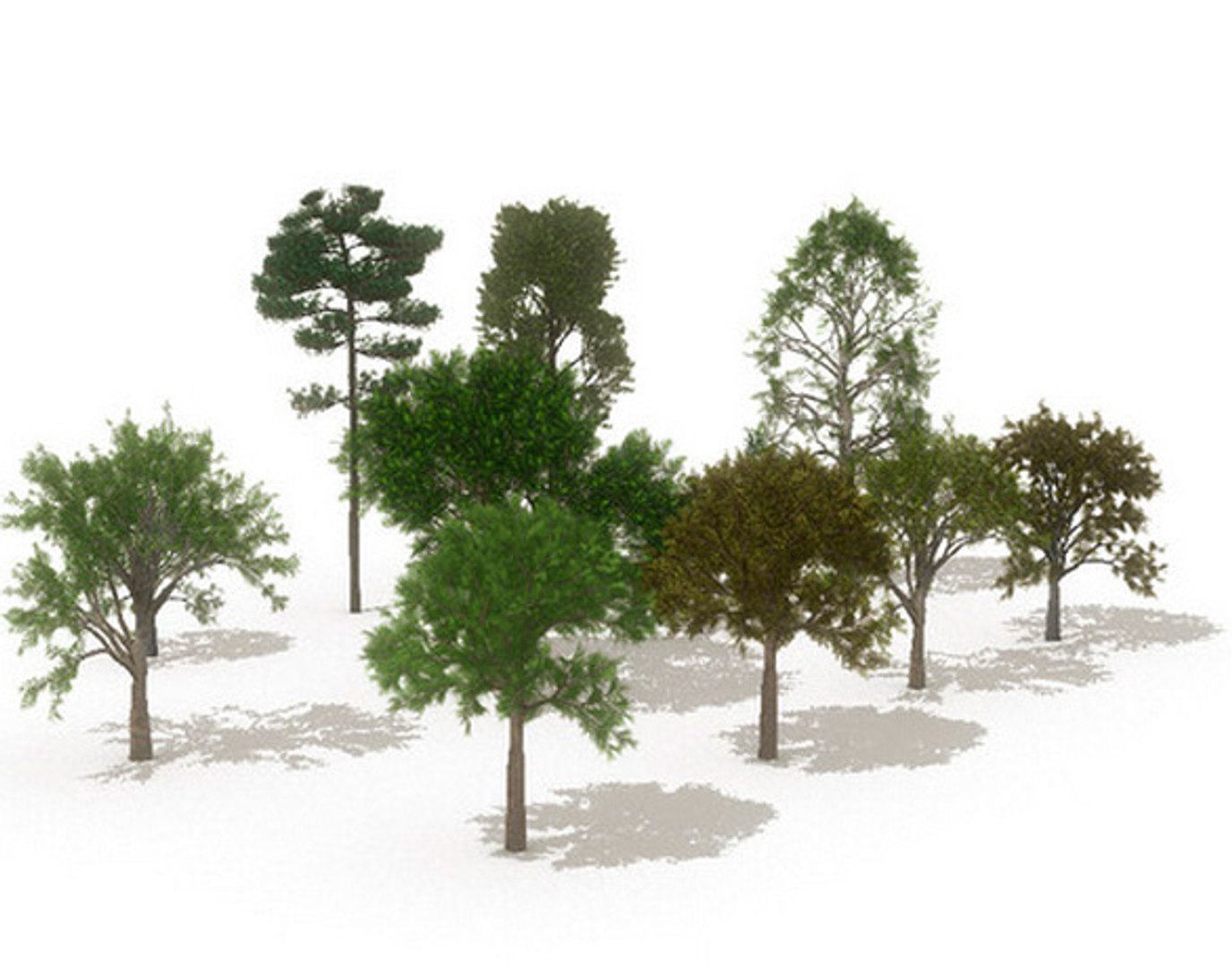 Maya 12 European Trees