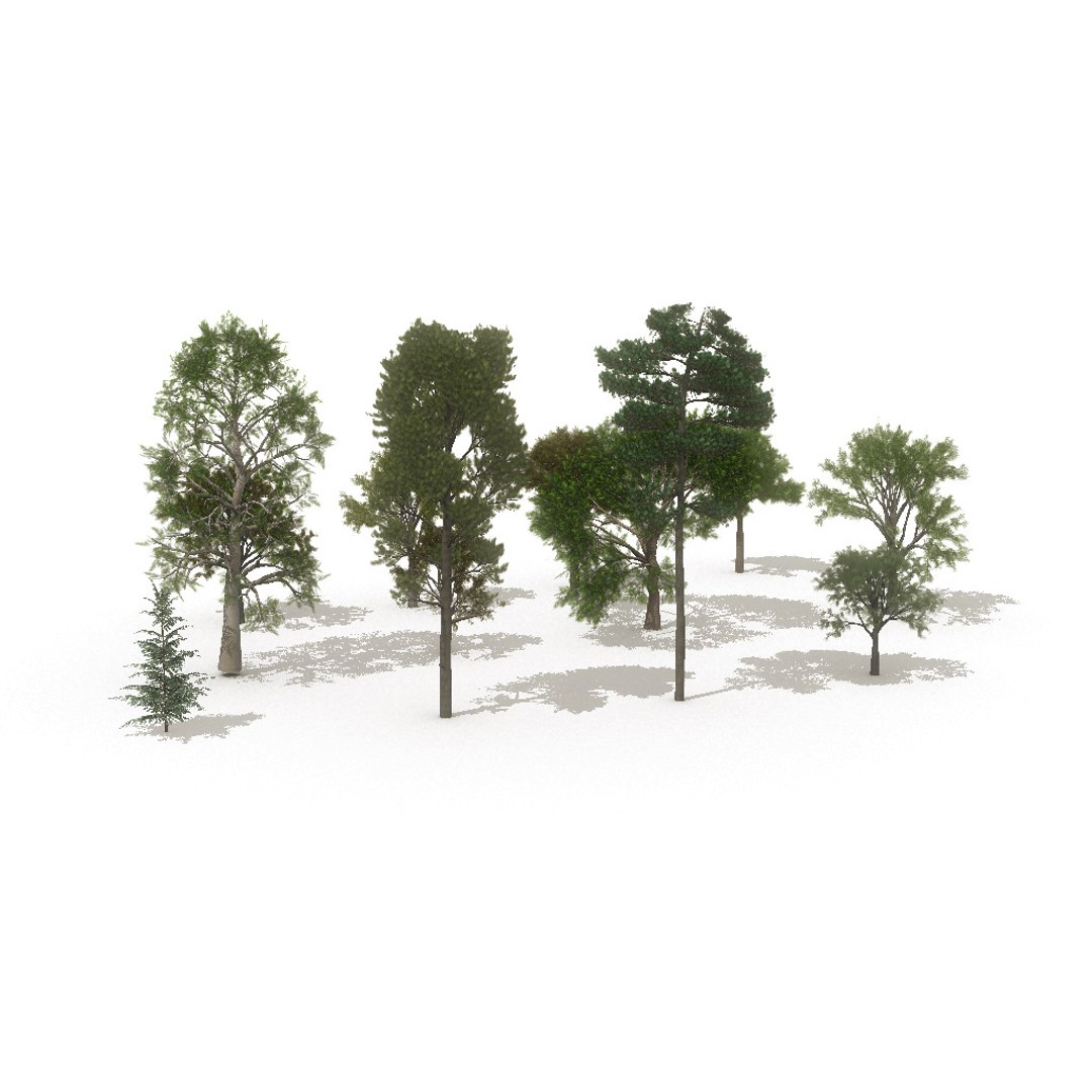 Maya 12 European Trees