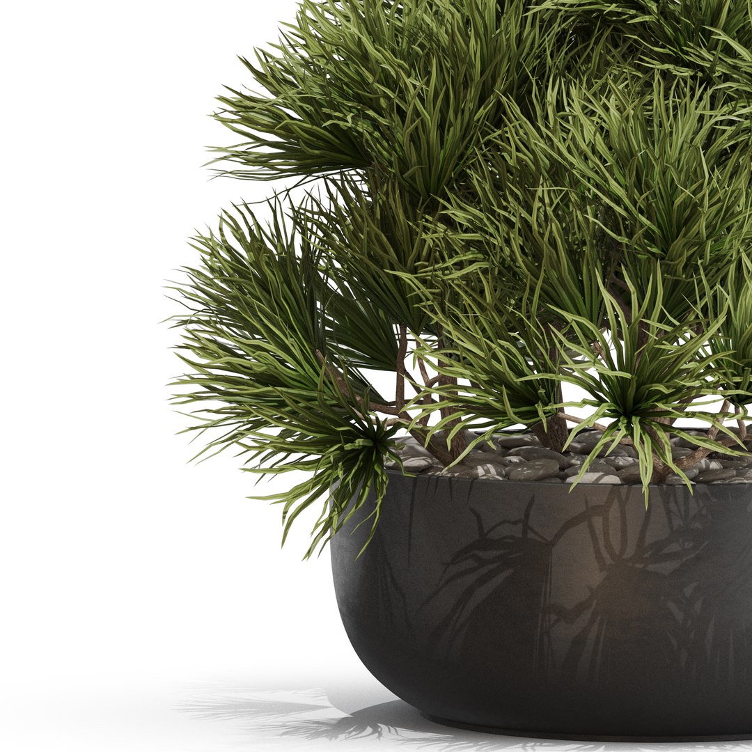 Plants Collection 679 Model - TurboSquid 1893930