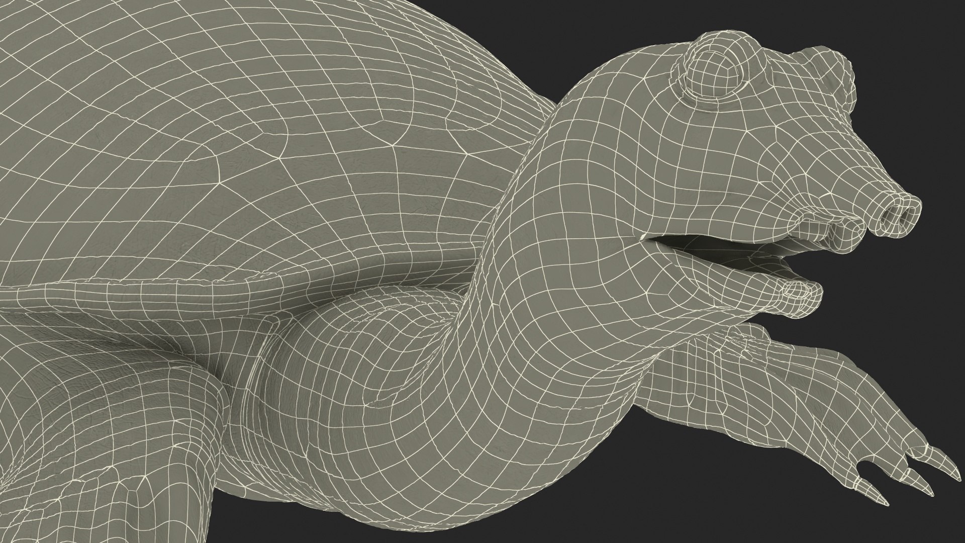Realistic Chinese Softshell Turtle Rigged 3D Model - TurboSquid 2268855