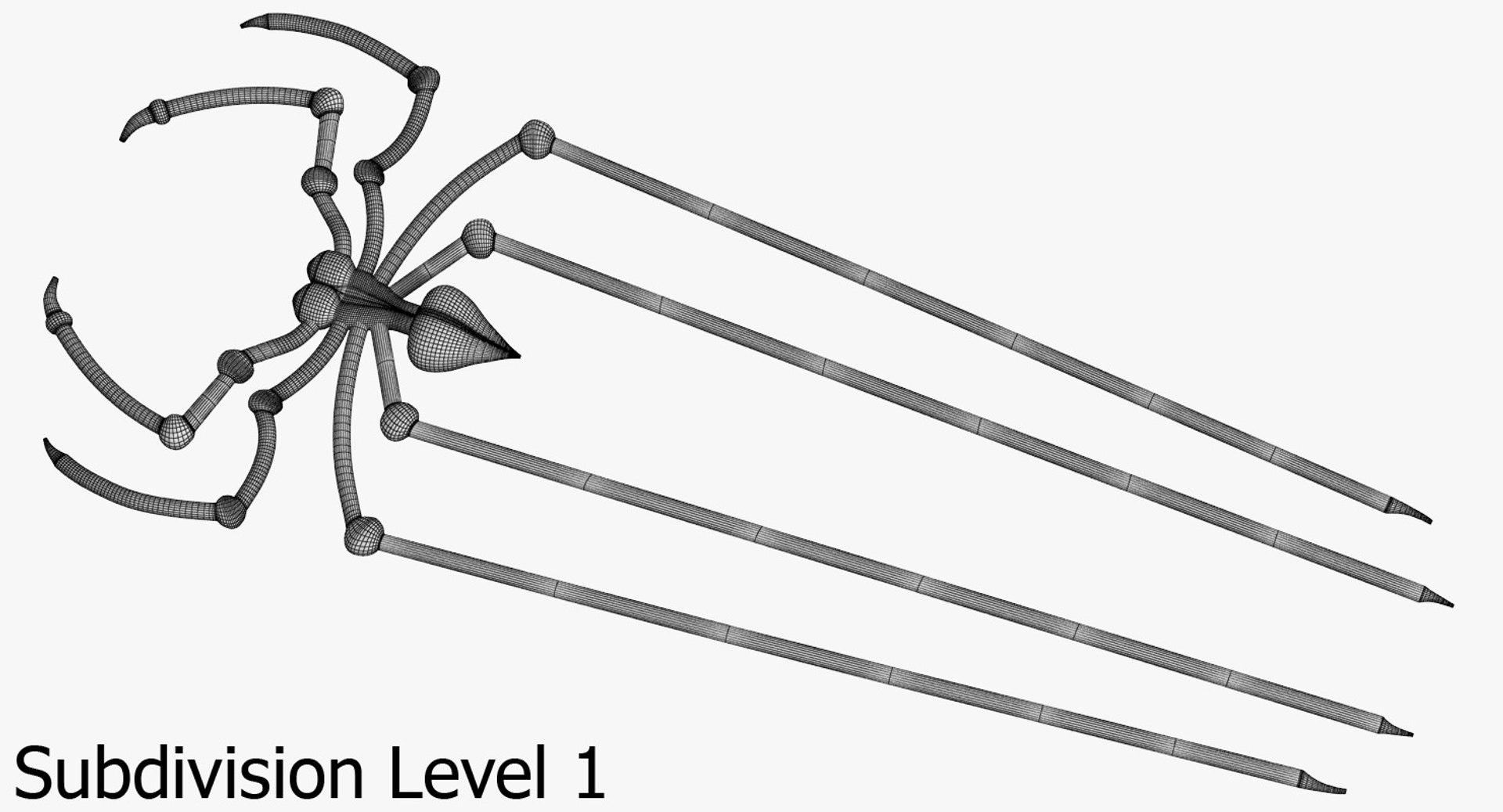 3D Spider Realistic Model - TurboSquid 1336639