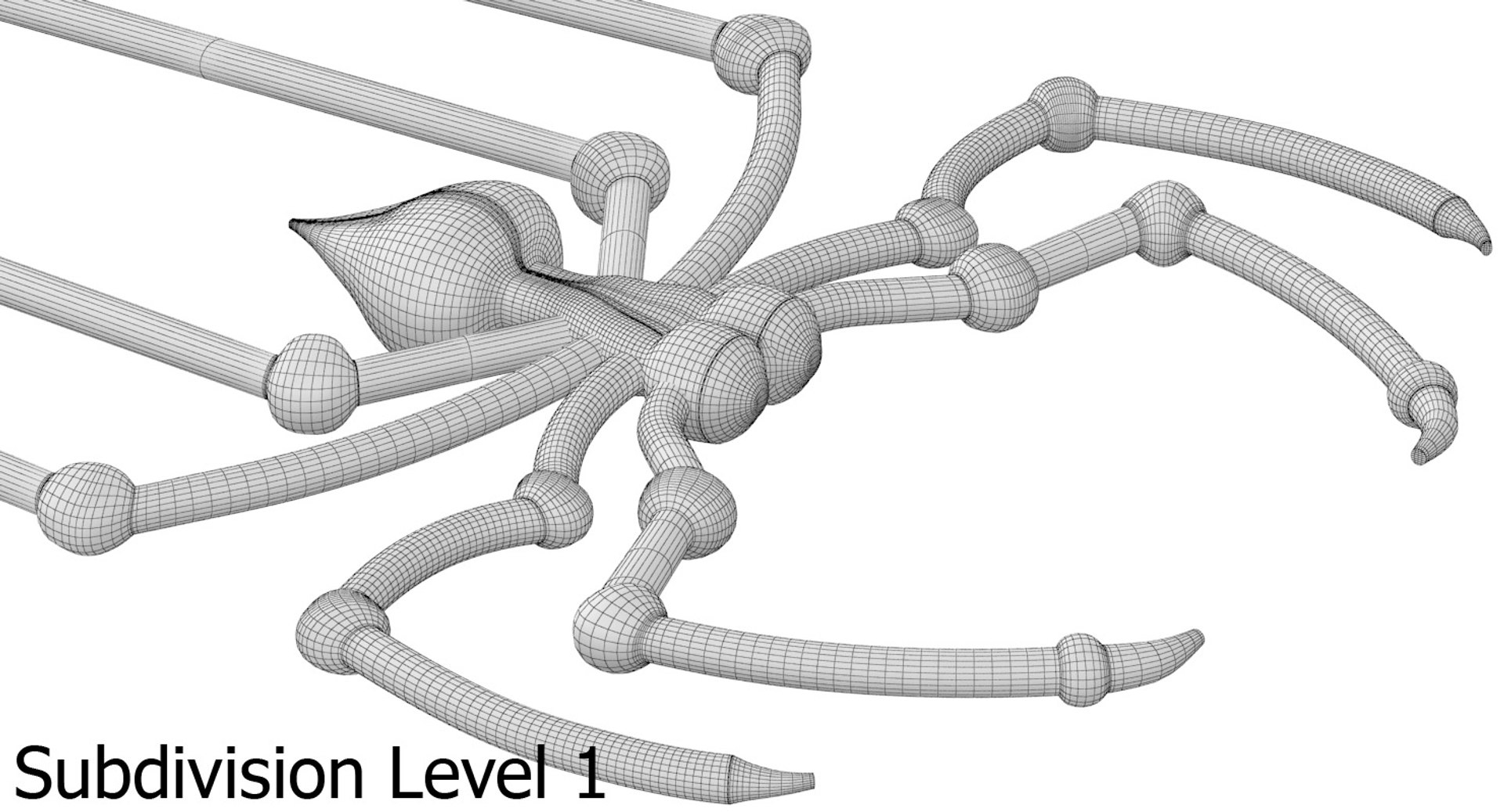 3D Spider Realistic Model - TurboSquid 1336639