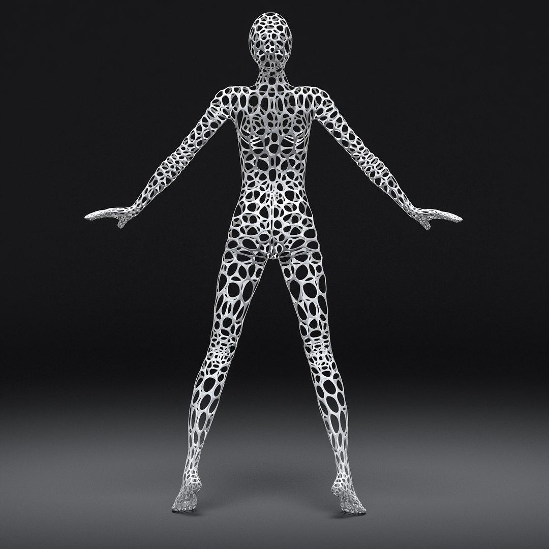 Female Wire Mannequin 3D - TurboSquid 1172133