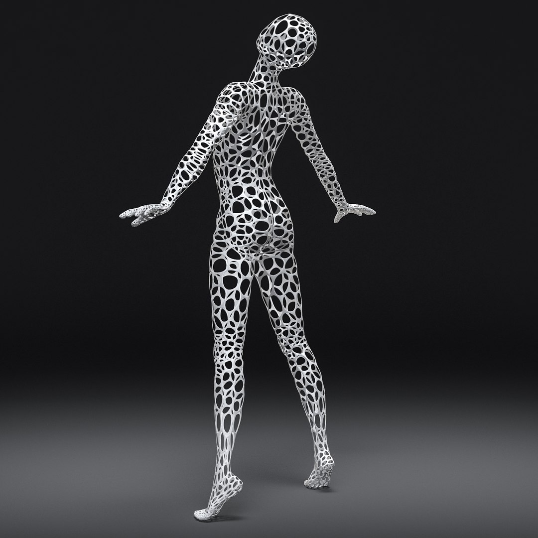Female Wire Mannequin 3D - TurboSquid 1172133