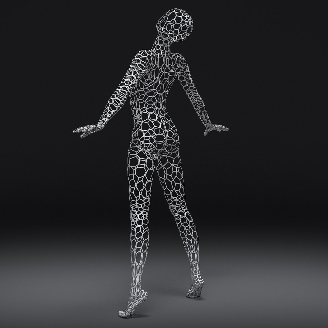 Female Wire Mannequin 3D - TurboSquid 1172133