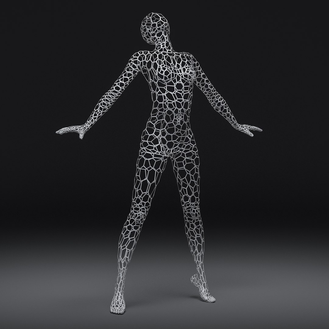Female Wire Mannequin 3D - TurboSquid 1172133