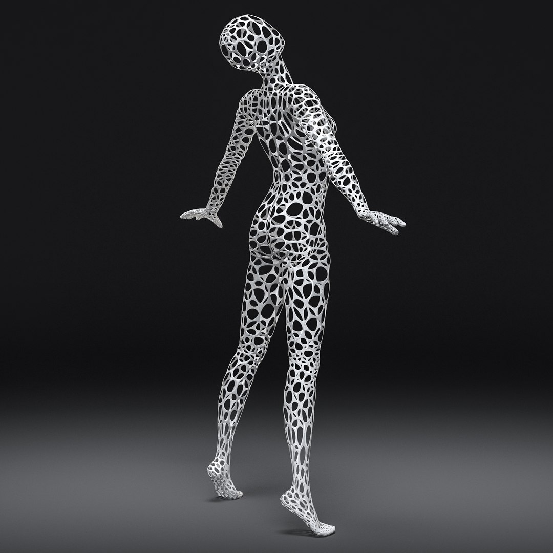 Female Wire Mannequin 3D - TurboSquid 1172133
