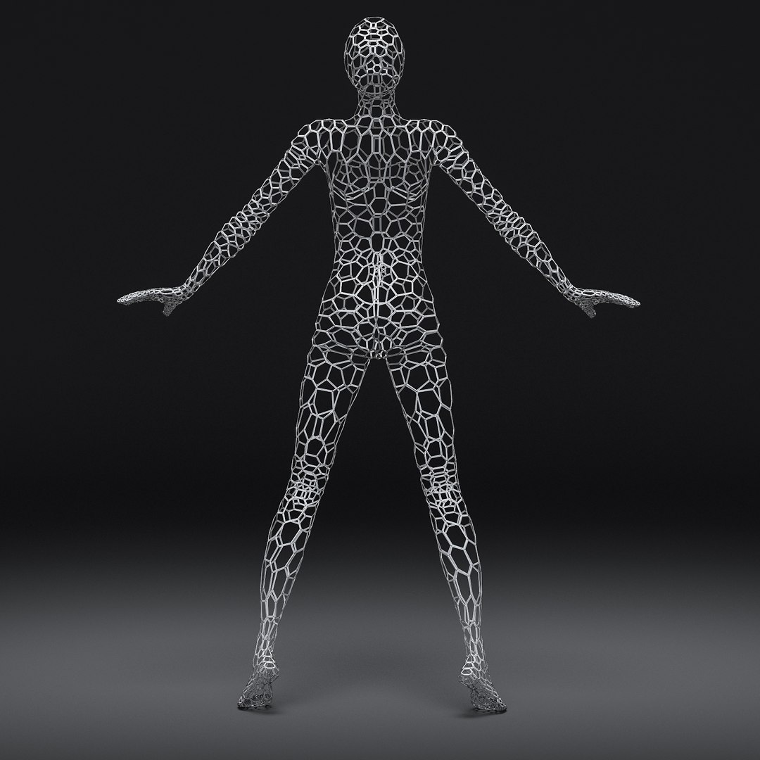 Female Wire Mannequin 3D - TurboSquid 1172133