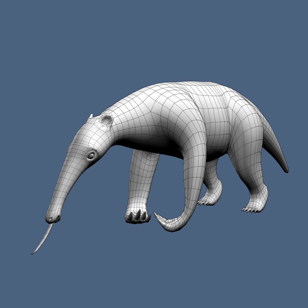 Giant Anteater Obj