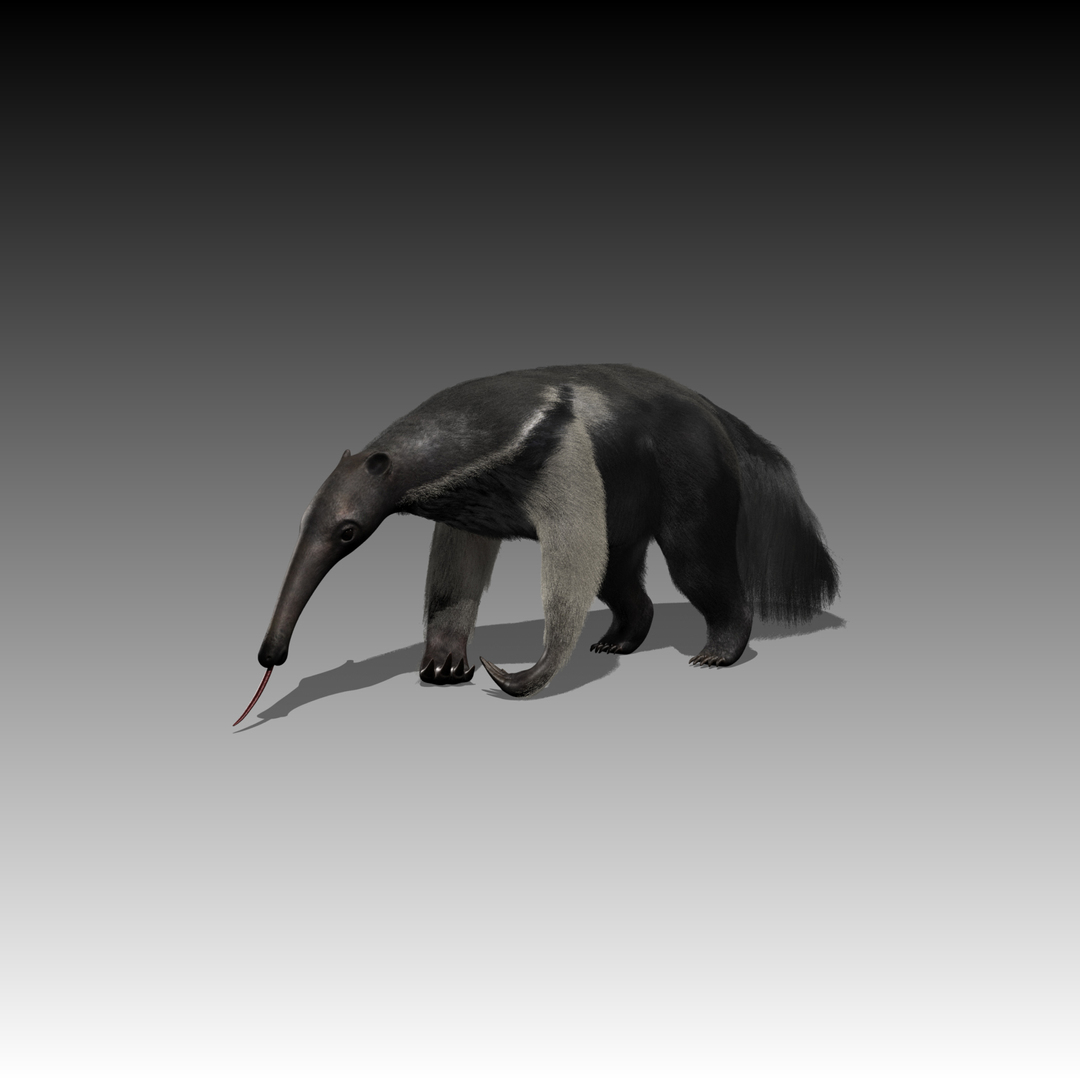 Giant Anteater Obj