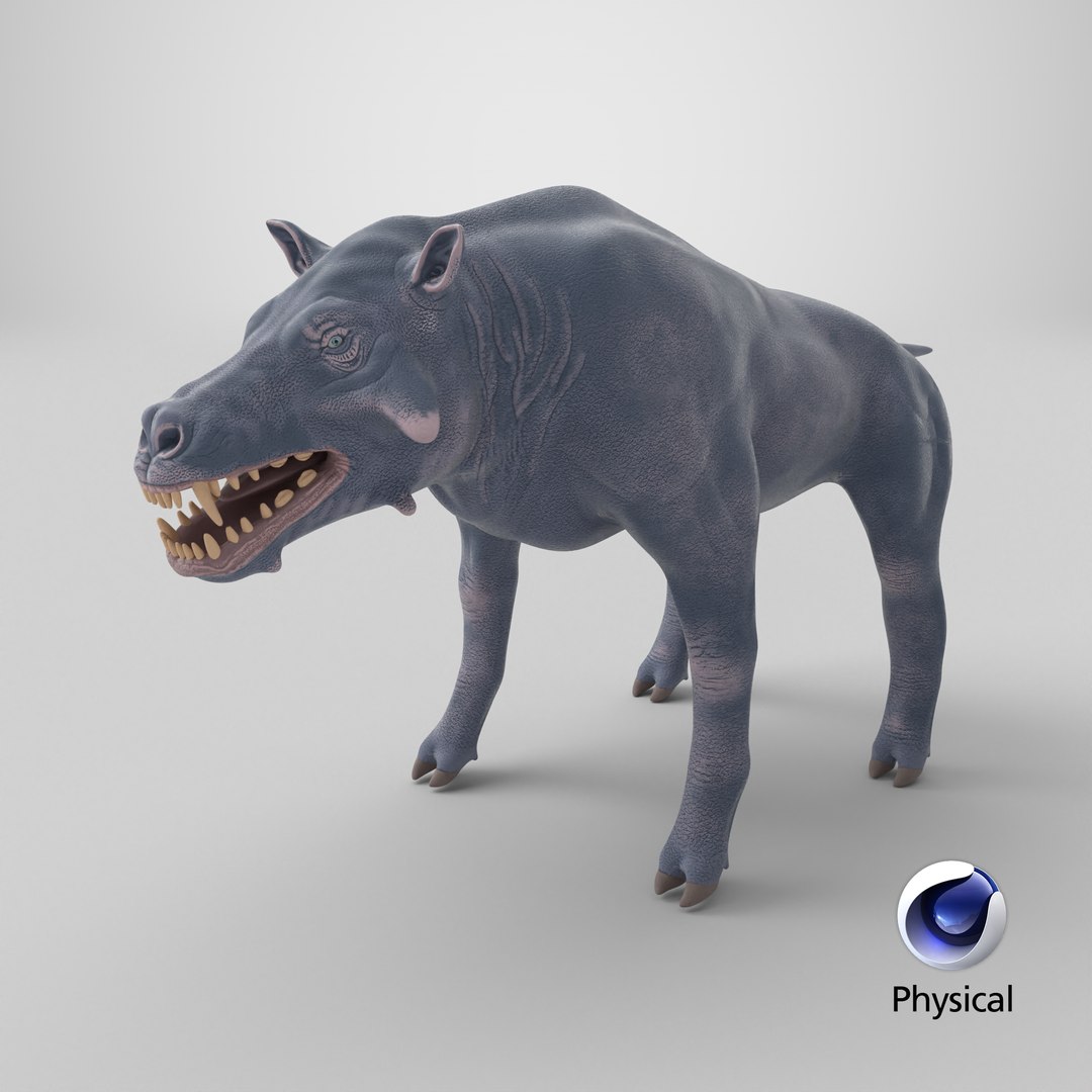 Entelodont 3D Model - TurboSquid 2328444