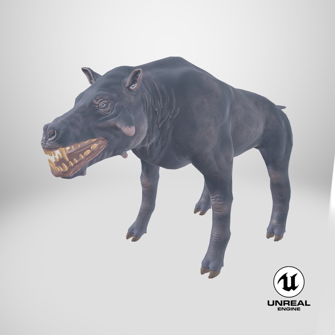 Entelodont 3D Model - TurboSquid 2328444