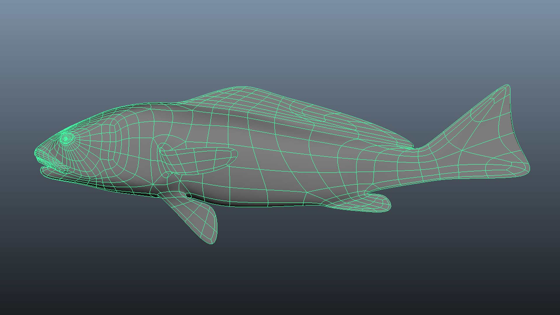 3D Saltwater Fish Collection 27 model - TurboSquid 1837832