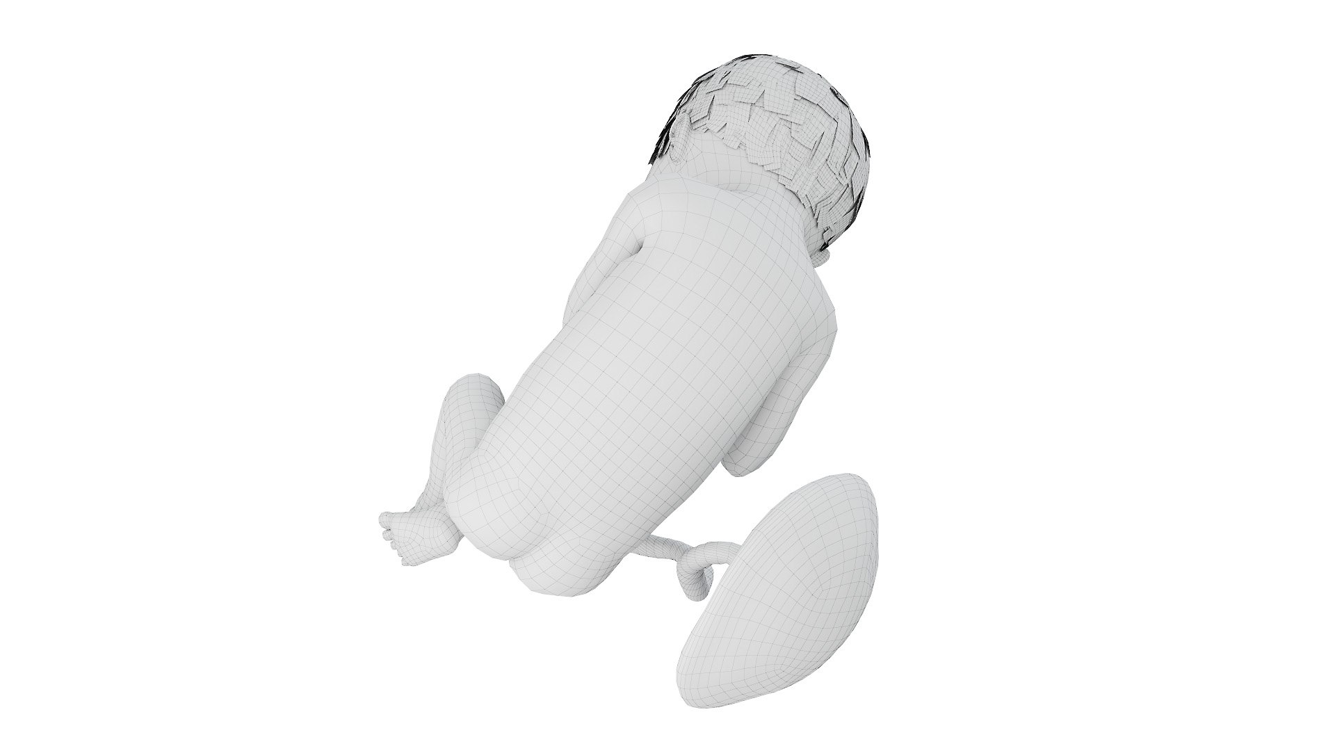 Fetus Week 24 Static 3D model - TurboSquid 1871377